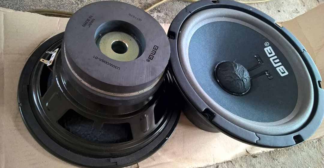 Nguyên Nhân Và Cách Sửa Loa Bass Bị Rè Nhanh Tại Nhà